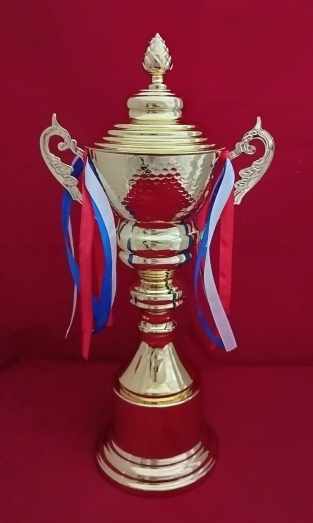 Metal & Steel Trophies SA | Premium Awards | Trophy Empire
